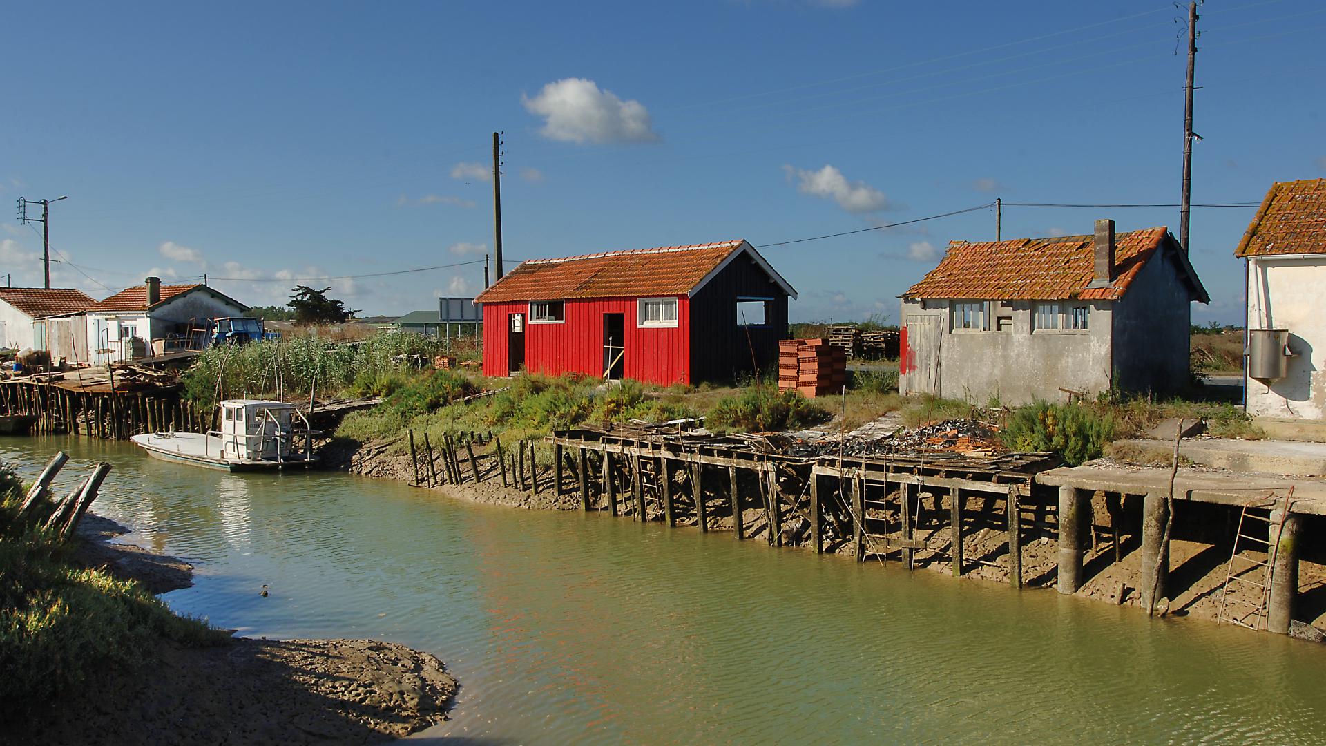 Camping Dolus d'Oléron (17550) - Campings.online - Campings.Online